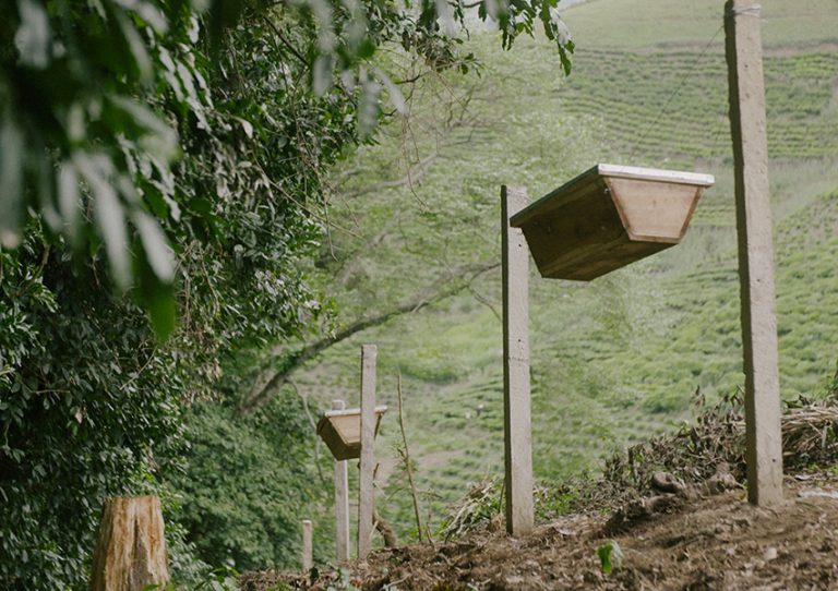 Beehive Fence - Raising The Village
