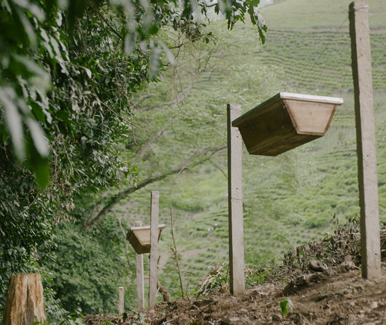 Beehive Fence - Raising The Village