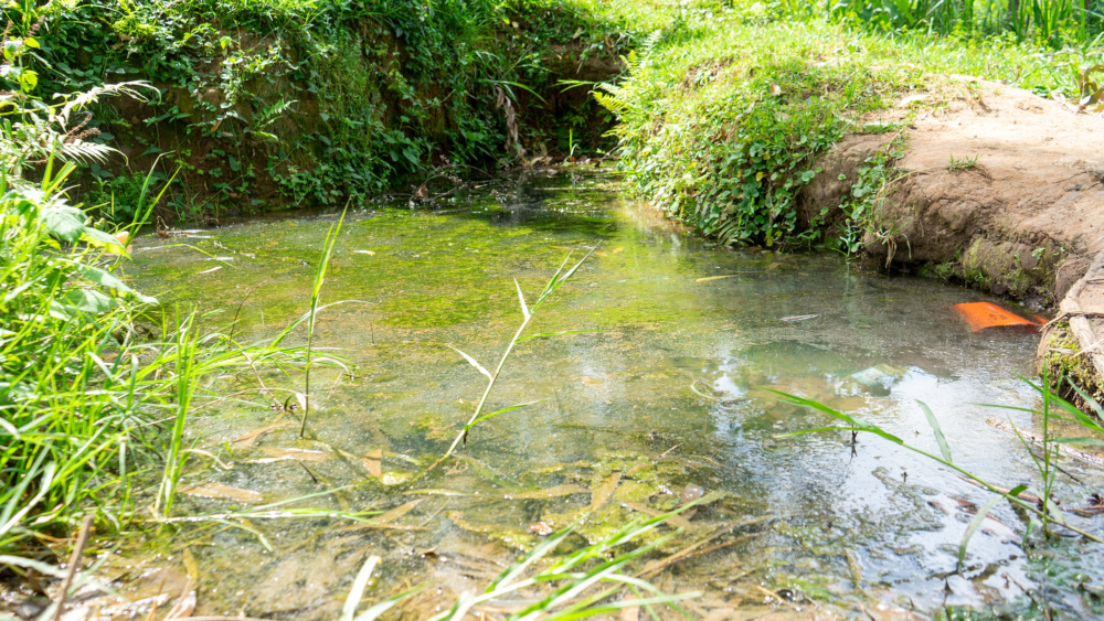 Clean Water that Transforms Lives - Raising The Village